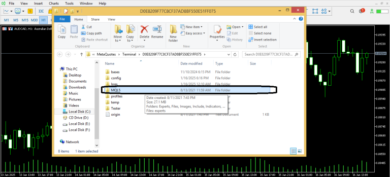 Forexbest - دانلود اکسپرت مدیریت سرمایه گلوری (Glory Money Management) برای متاتریدر 5