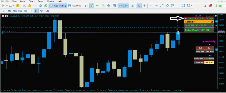 Forexbest - دانلود اکسپرت مدیریت سرمایه گلوری (Glory Money Management) برای متاتریدر 5